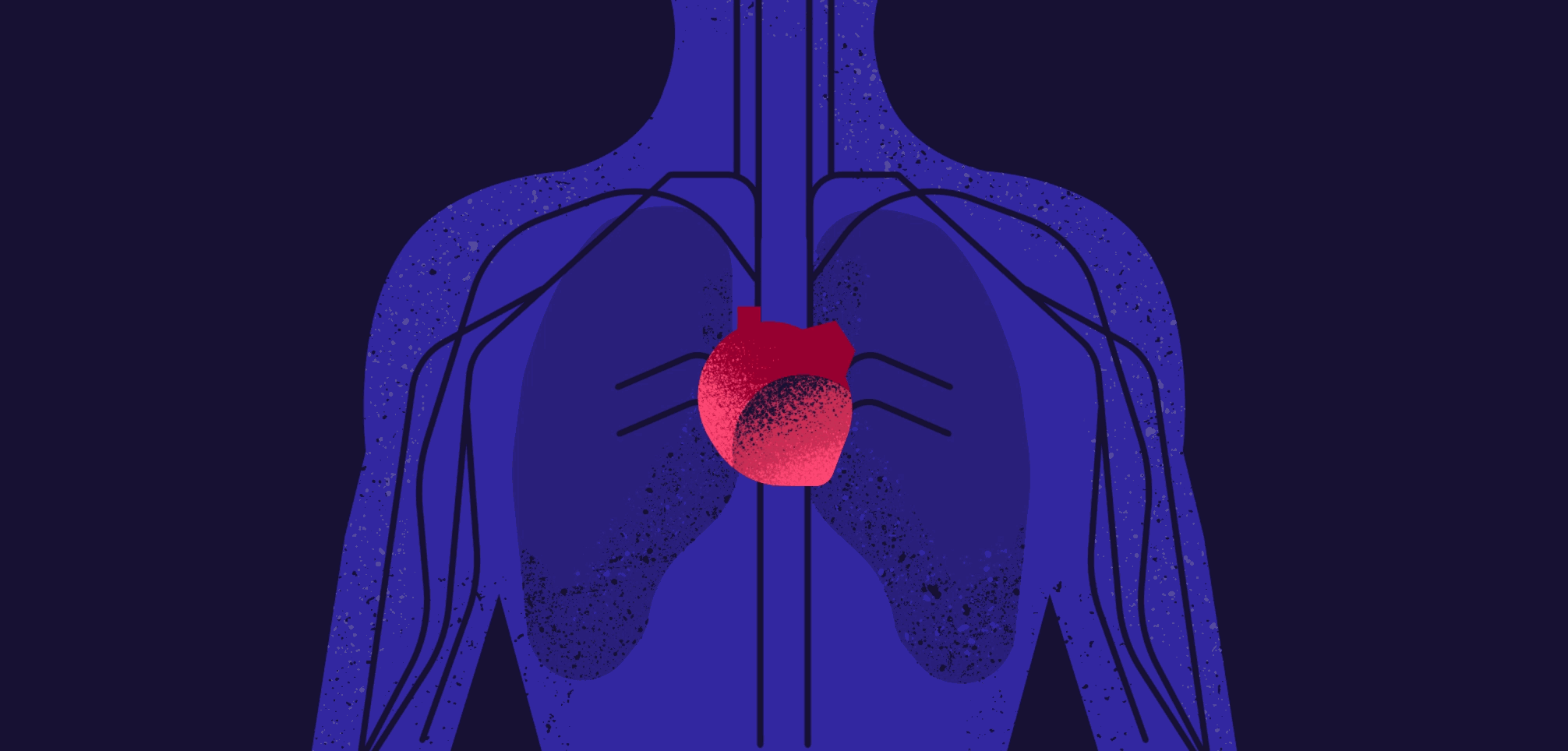 Artistic rendering of the human circulation system - Dave Asprey Box